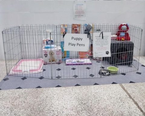 Doggy Products - Puppy Palace Pet Shop